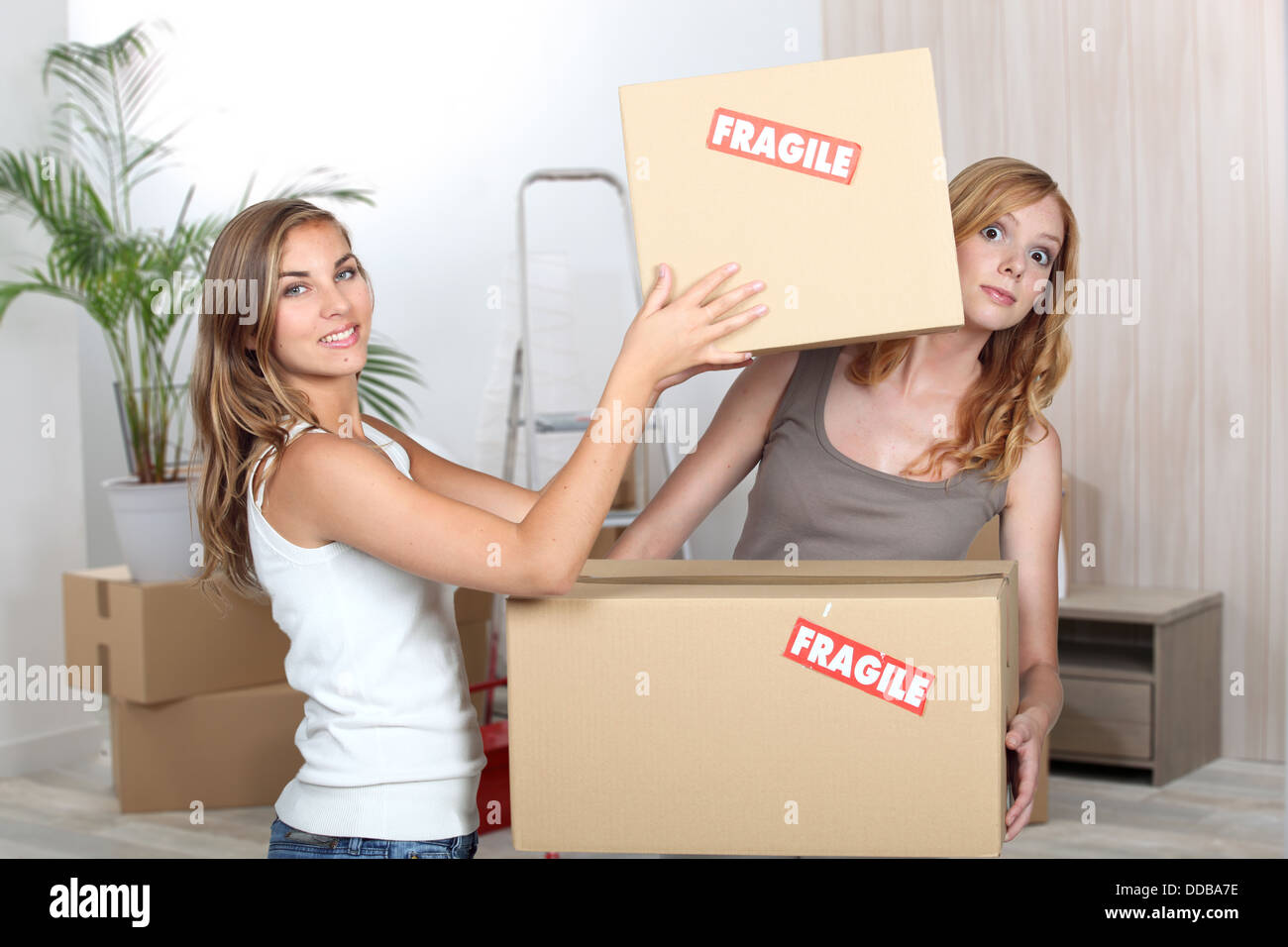 girls moving in together Stock Photo - Alamy