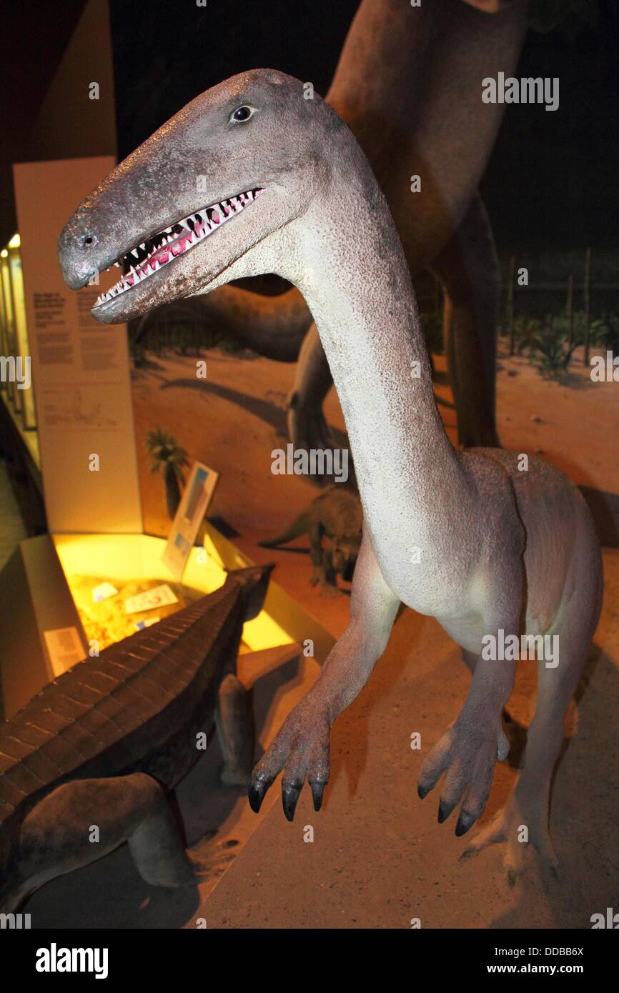 Ammosaurus is a genus of sauropodomorph dinosaur from the Early and ... Ammosaurus is a genus of sauropodomorph dinosaur from the Early and ...