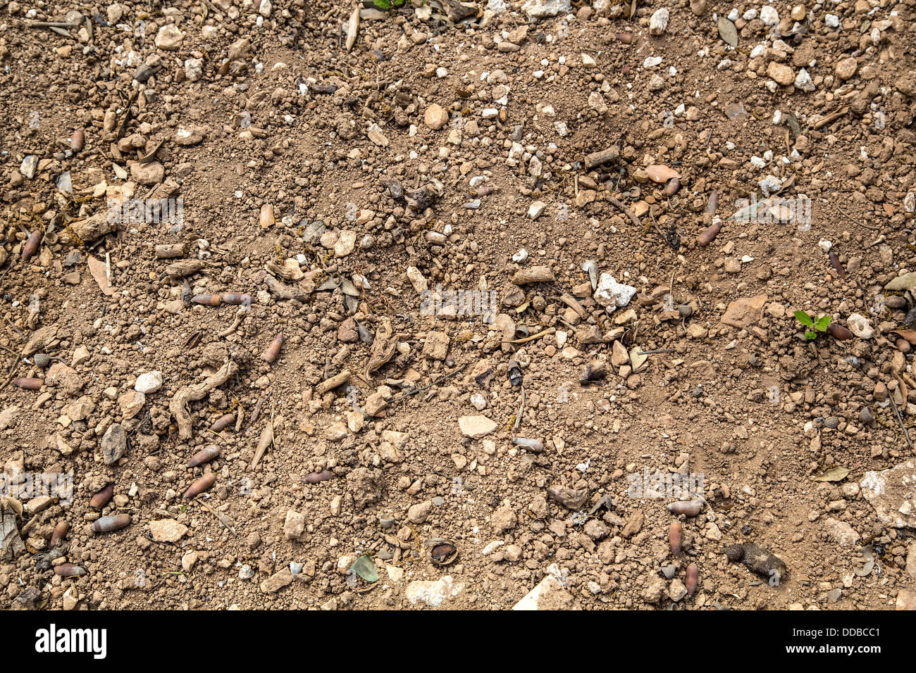 Soil and stones in Germany Stock Photo - Alamy