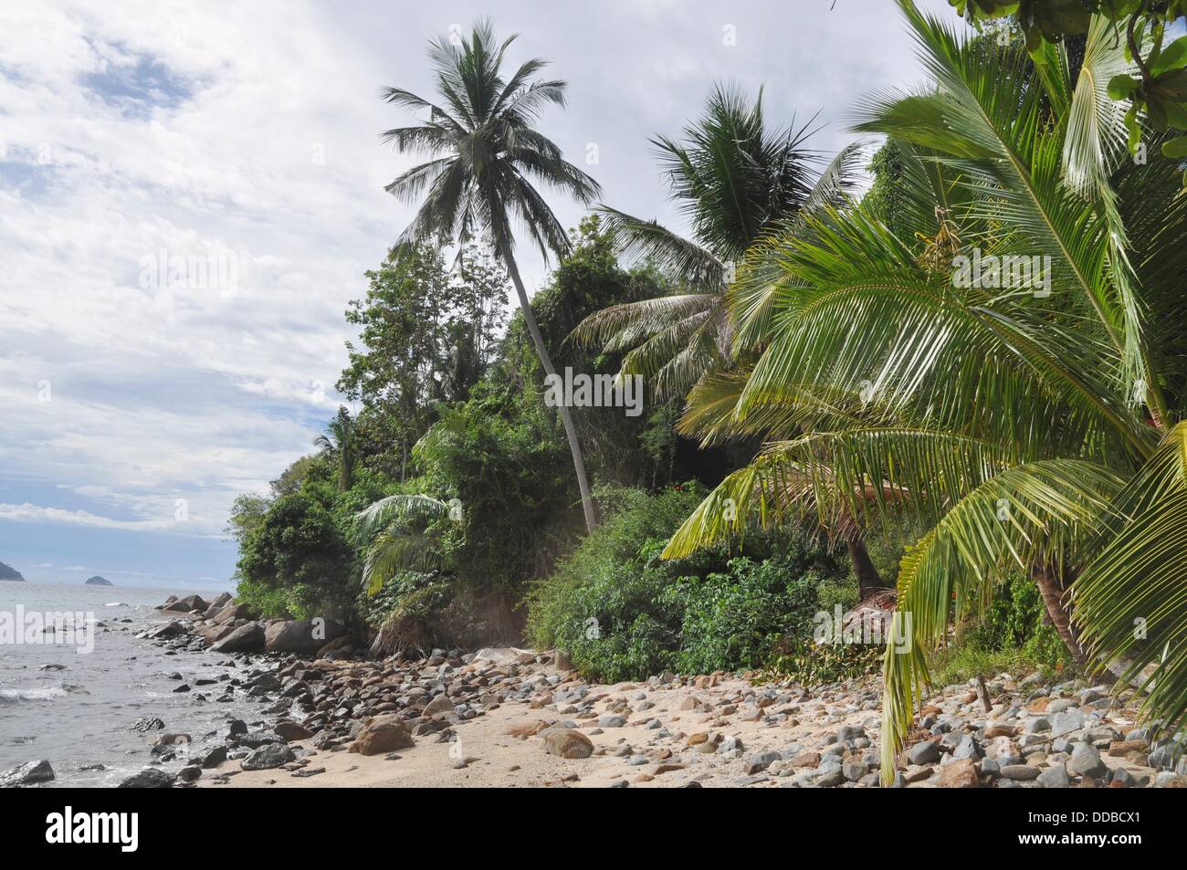 Tioman (Malaysia): Salang Beach Stock Photo - Alamy