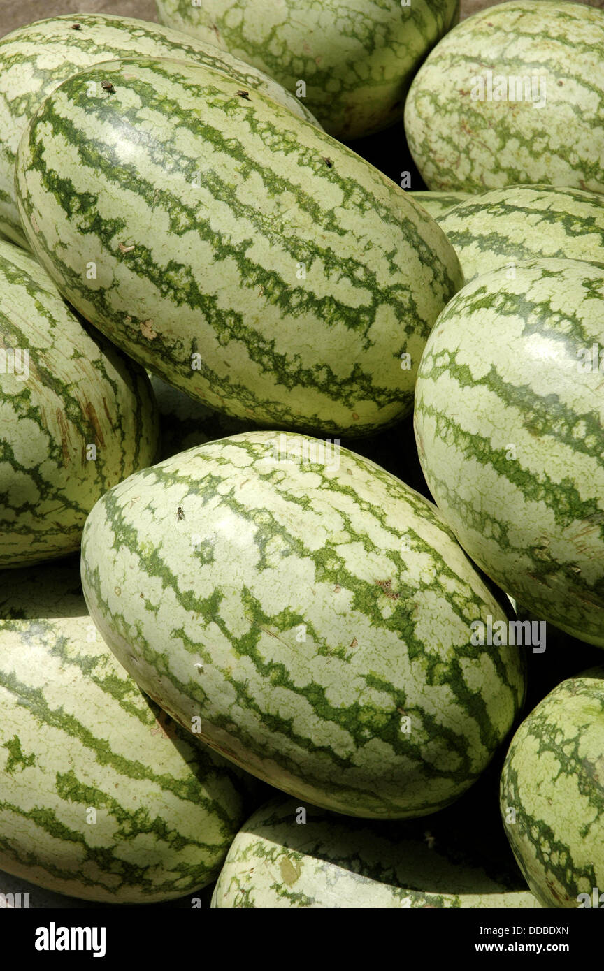 Mumbai India, watermelons at the Crawford, market Stock Photo - Alamy