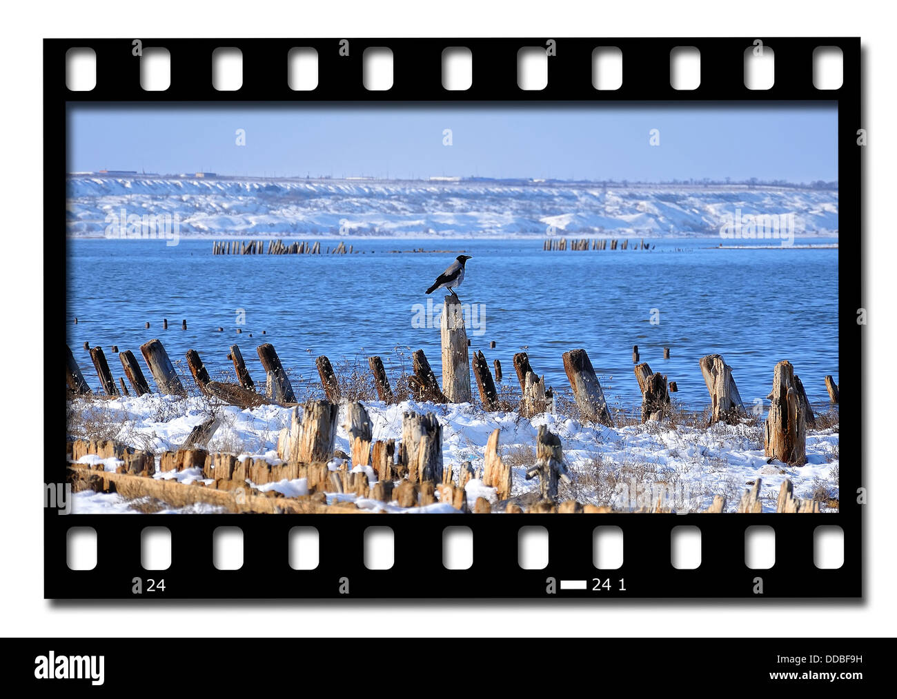 Into the sun film Cut Out Stock Images & Pictures - Alamy