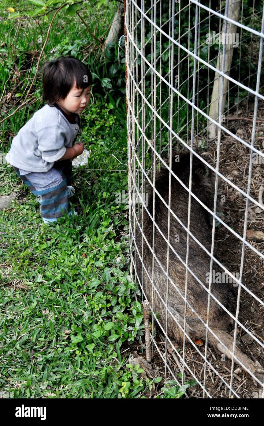 Higashi village hi-res stock photography and images - Alamy