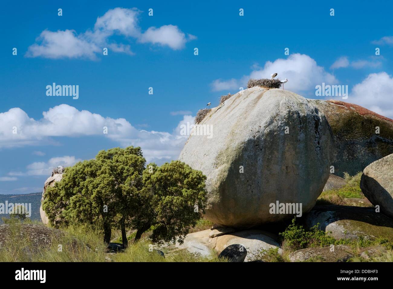 Monumento natural de los barruecos hi-res stock photography and images ...