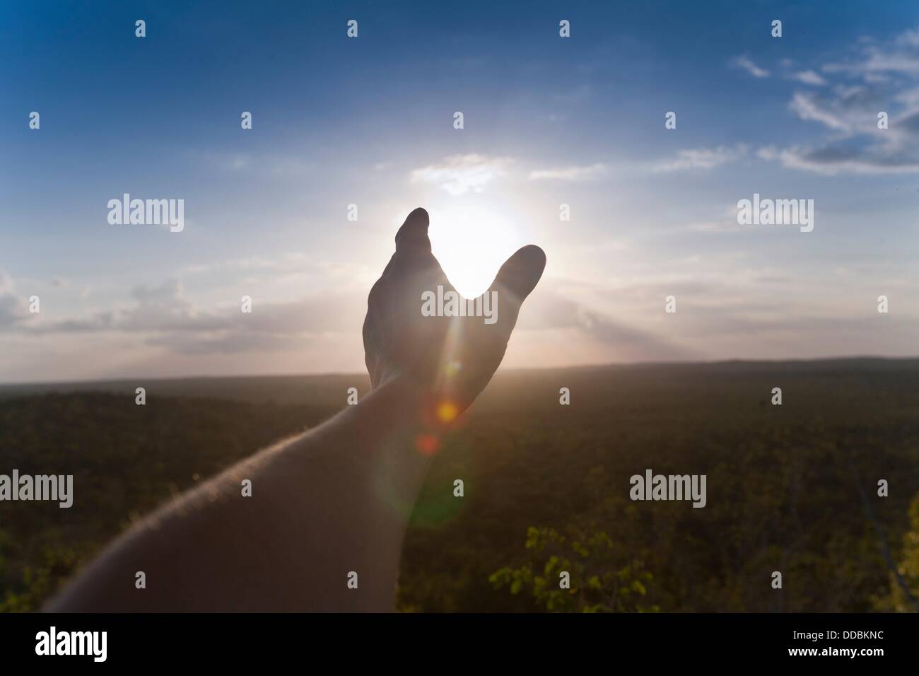 Hand reaching for the Sun Stock Photo - Alamy