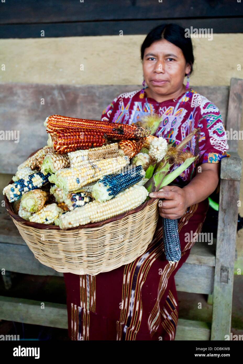 Maya corn hi-res stock photography and images - Alamy