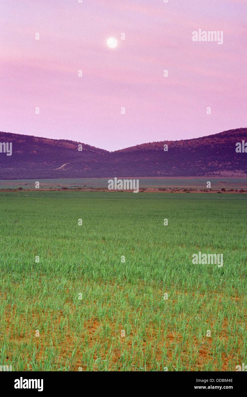 Hawker south australia hi-res stock photography and images - Alamy