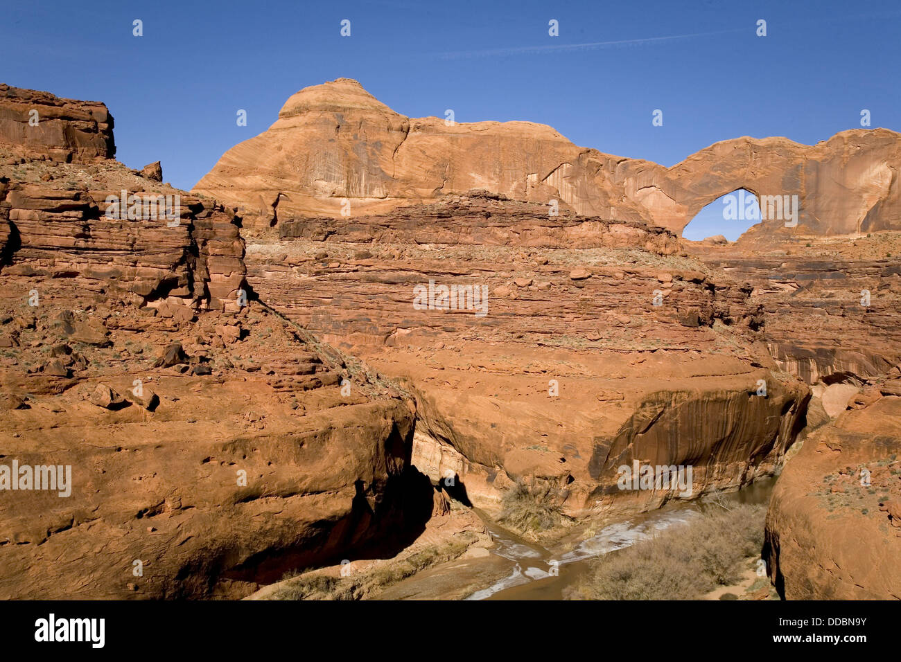 Coyote gulch arch hi-res stock photography and images - Alamy