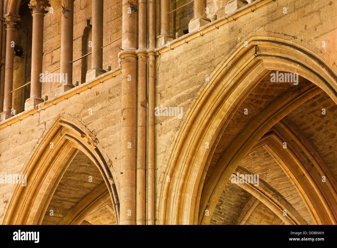 Reims Cathedral Visitation