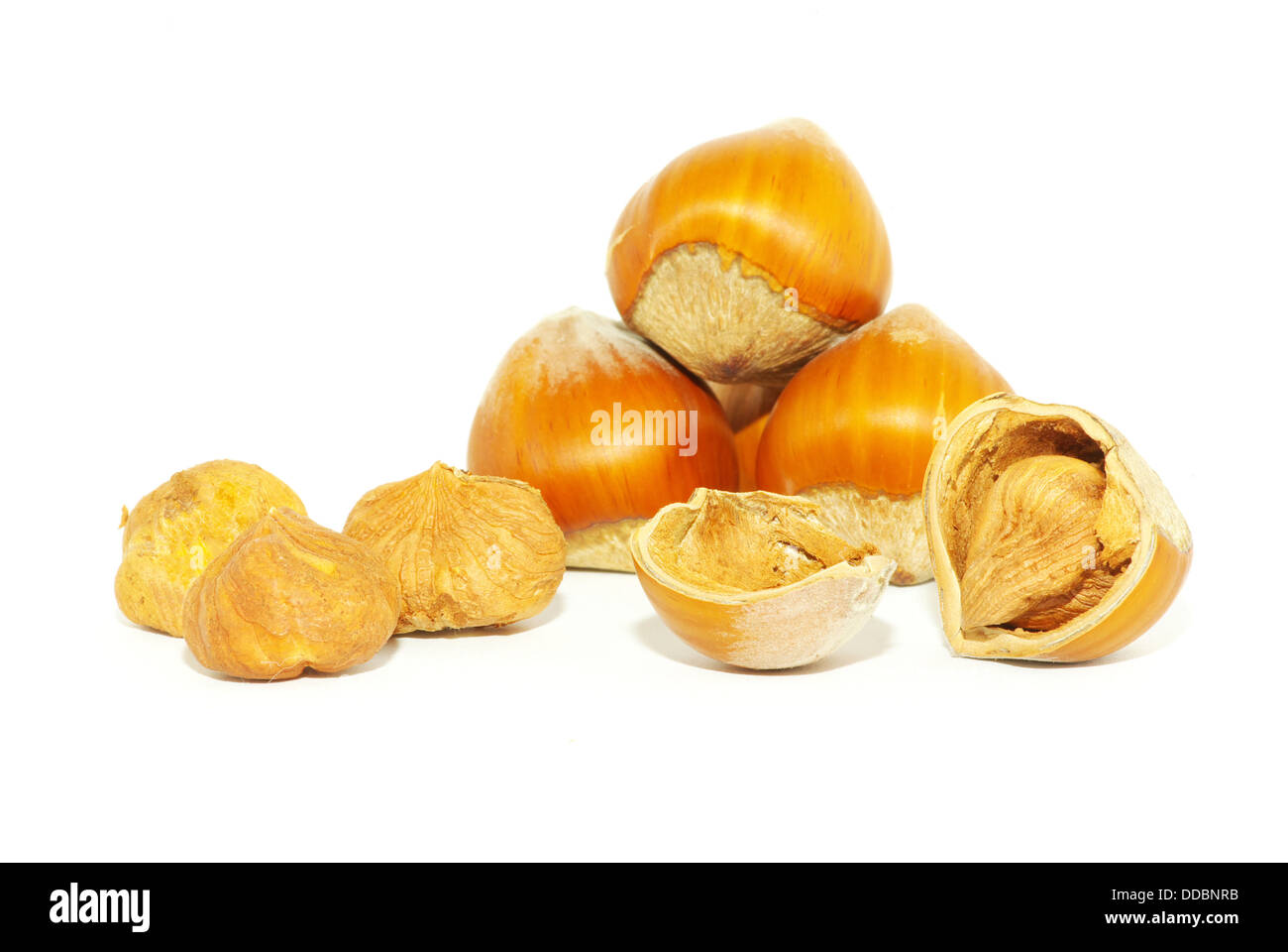 Close up closeup nutshell hi-res stock photography and images - Alamy
