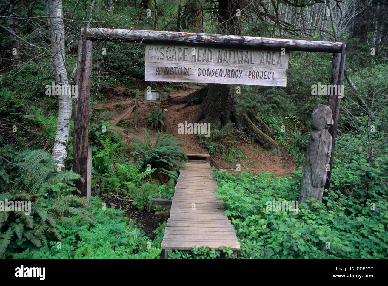 Cascade Head Trailhead, Cascade Head Preserve, Oregon Stock Photo - Alamy