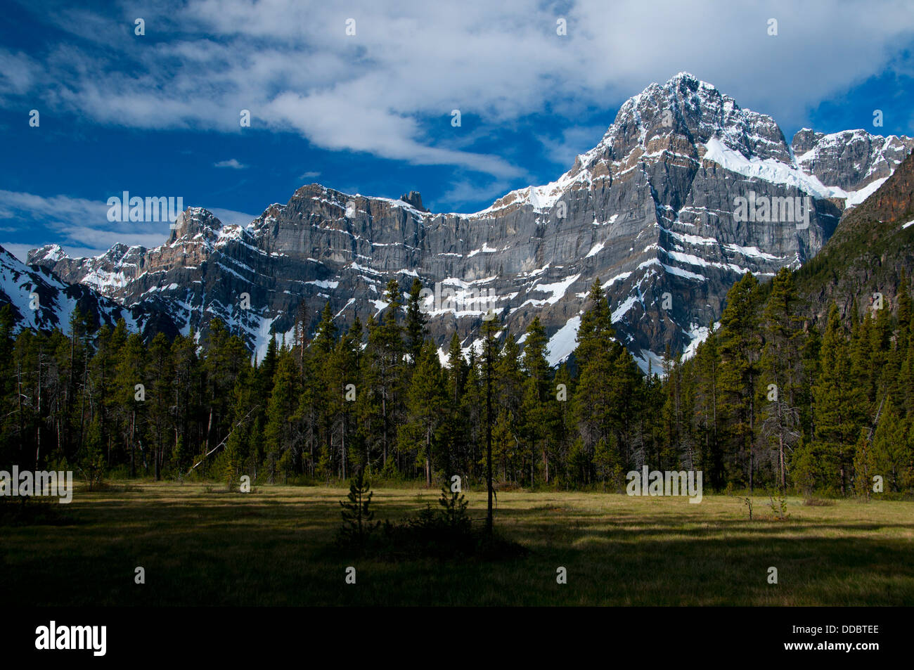Mount Chephren from Chephren Lake Trail, Banff National Park, Alberta ...
