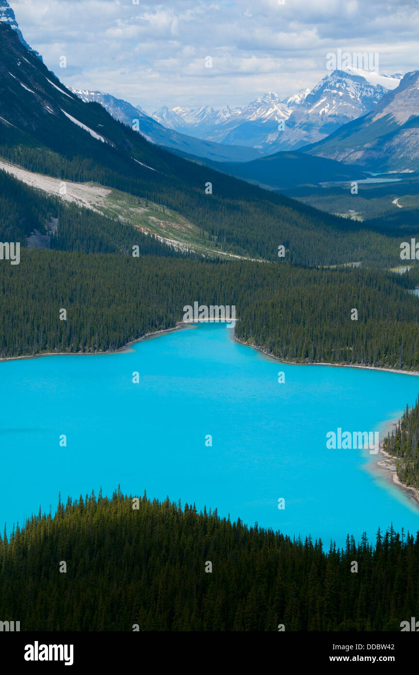 Peyto Lake, Banff National Park, Alberta, Canada Stock Photo - Alamy
