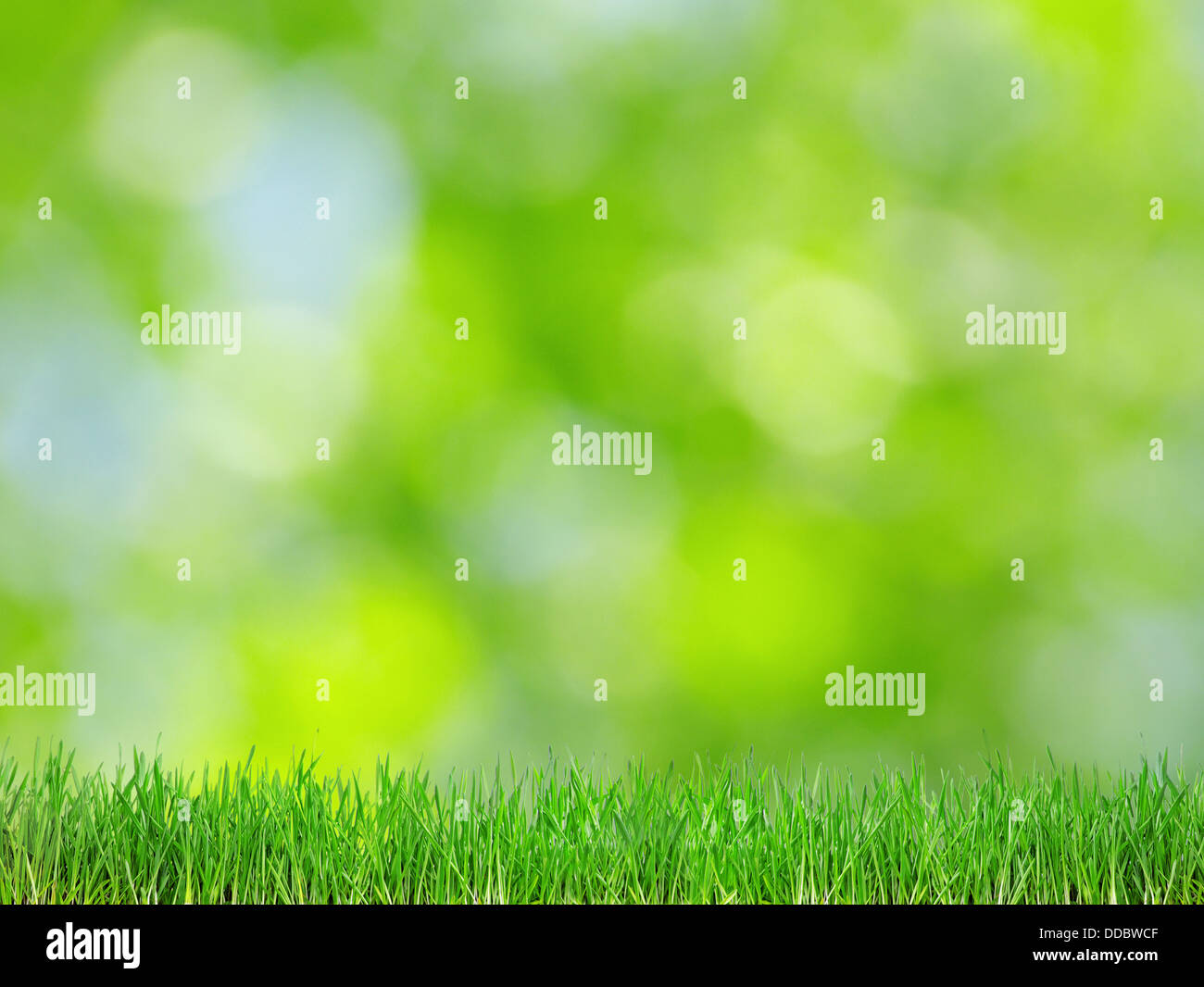 Bright white background blur bright hi-res stock photography and images ...