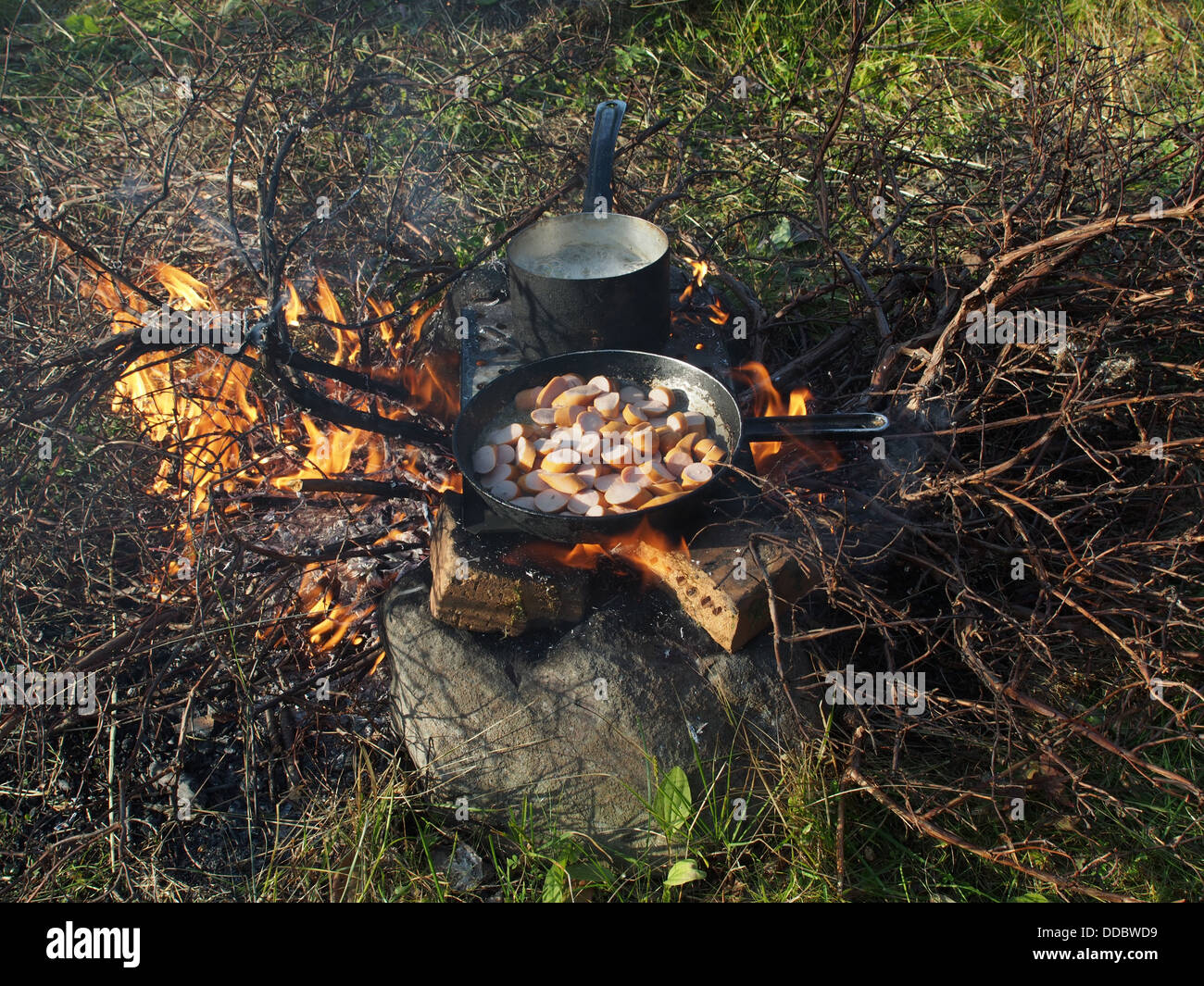 Frying pan and a pot on the fire Stock Photo - Alamy