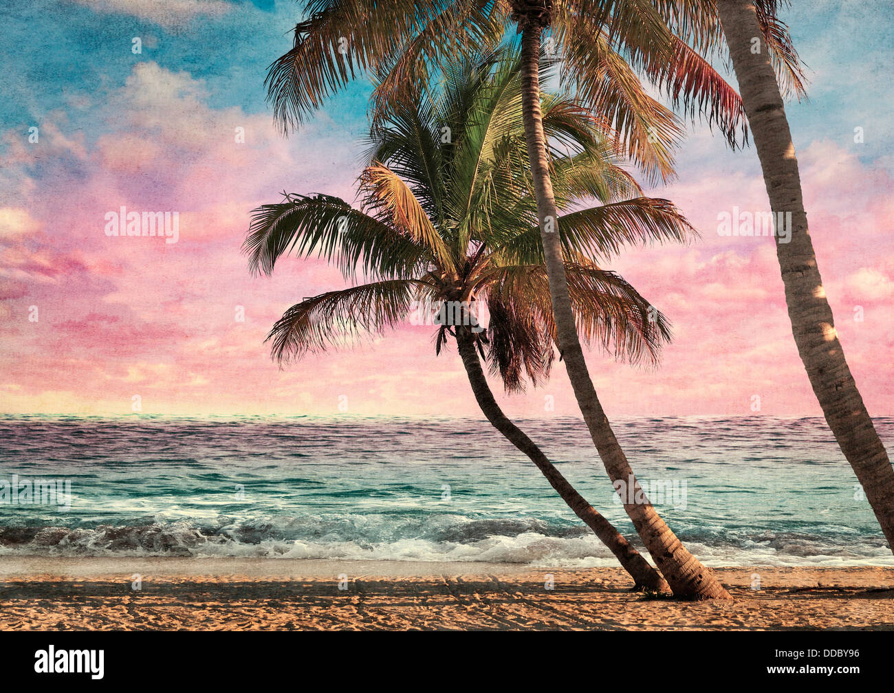 Beach sunset palm tree hi-res stock photography and images - Alamy