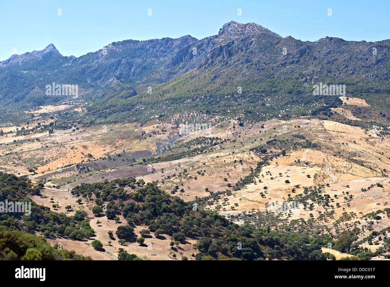 beautiful Andalusian landscape Stock Photo - Alamy