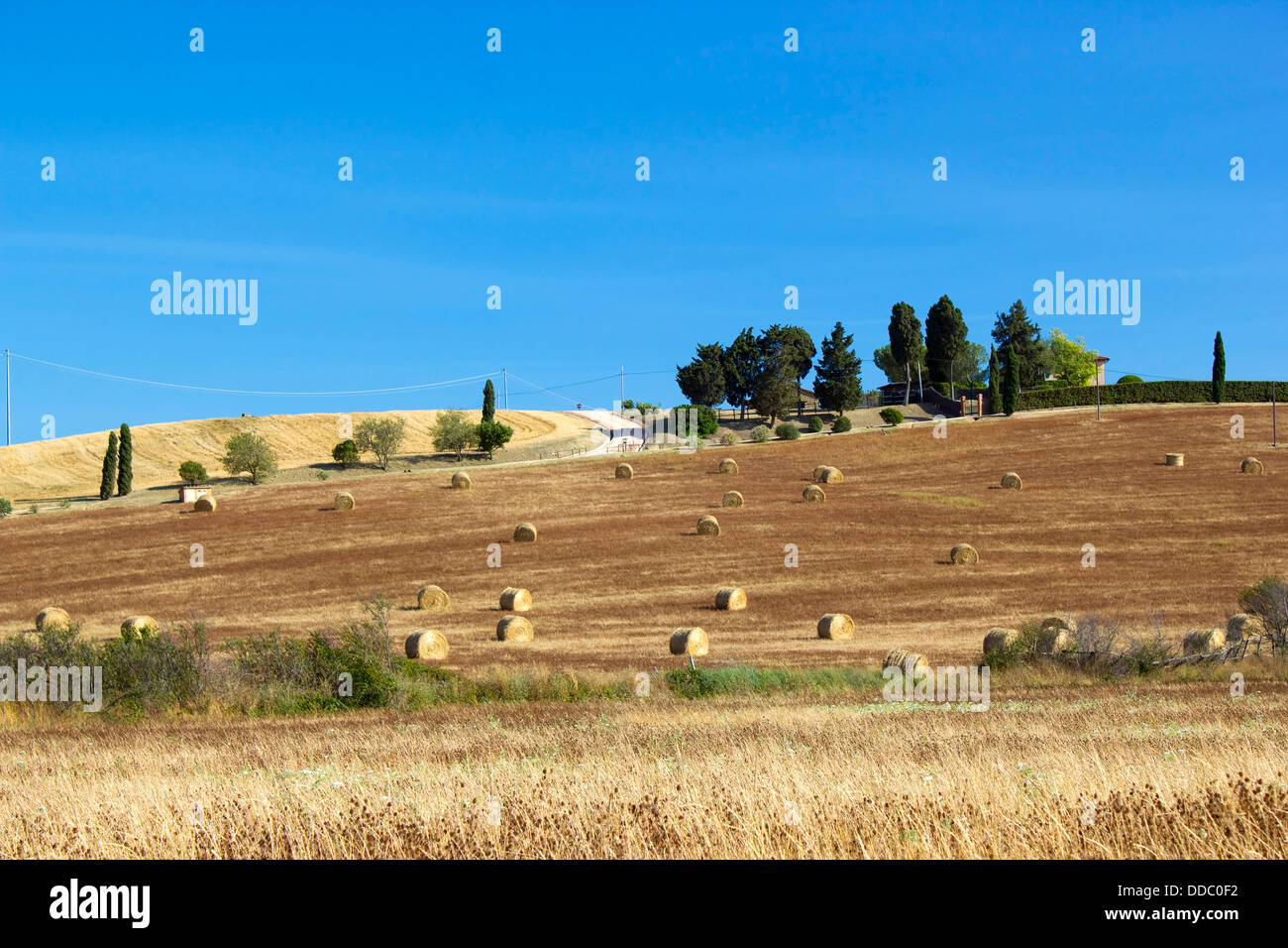 Tuscany landscape with many hay bales Stock Photo - Alamy