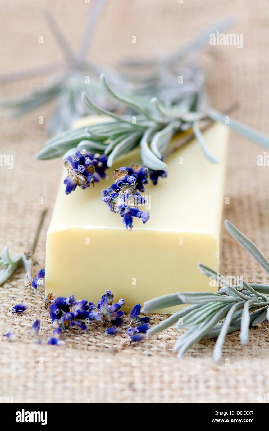 bar of natural soap and lavender Stock Photo - Alamy