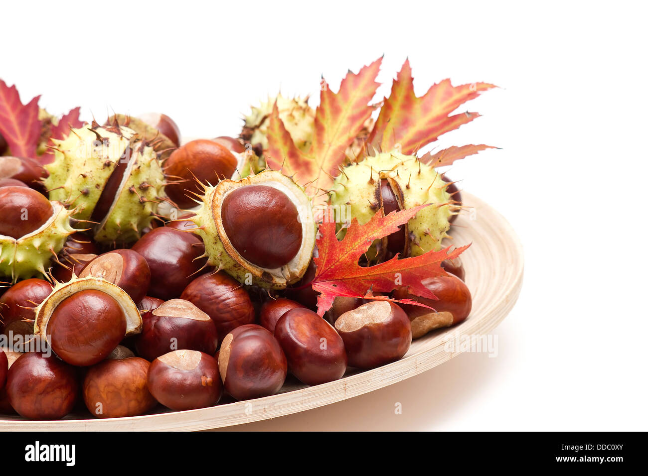 chestnuts and autumn leaves Stock Photo - Alamy