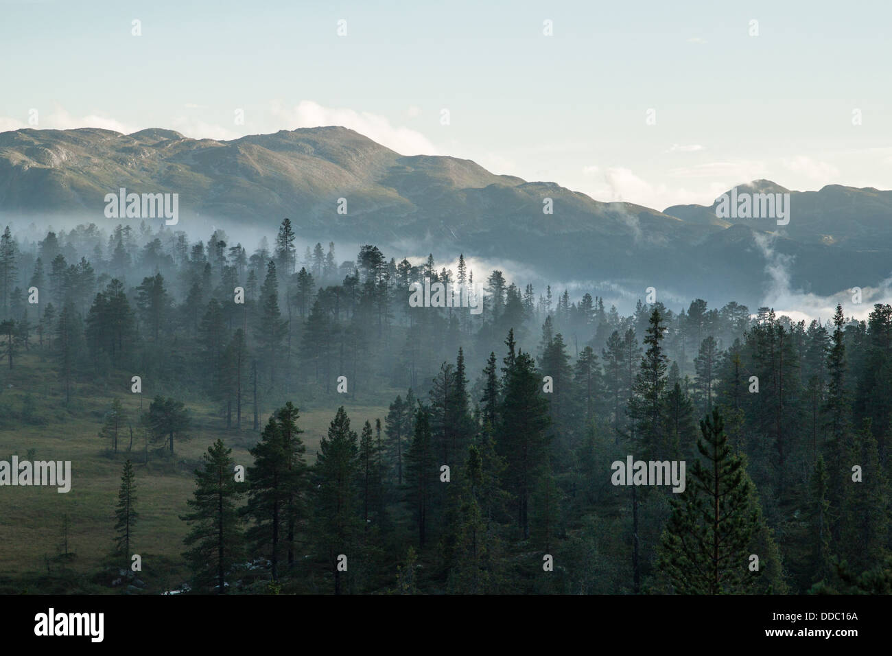 A nature around Telemark province and a Maelefjell mountain Stock Photo ...