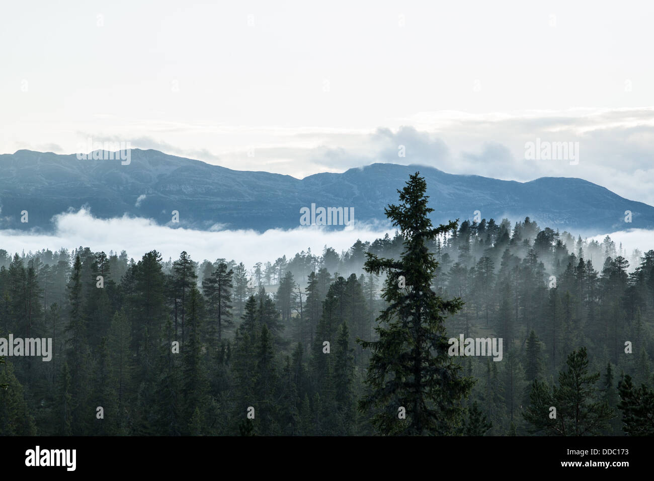 A nature around Telemark province and a Maelefjell mountain Stock Photo ...