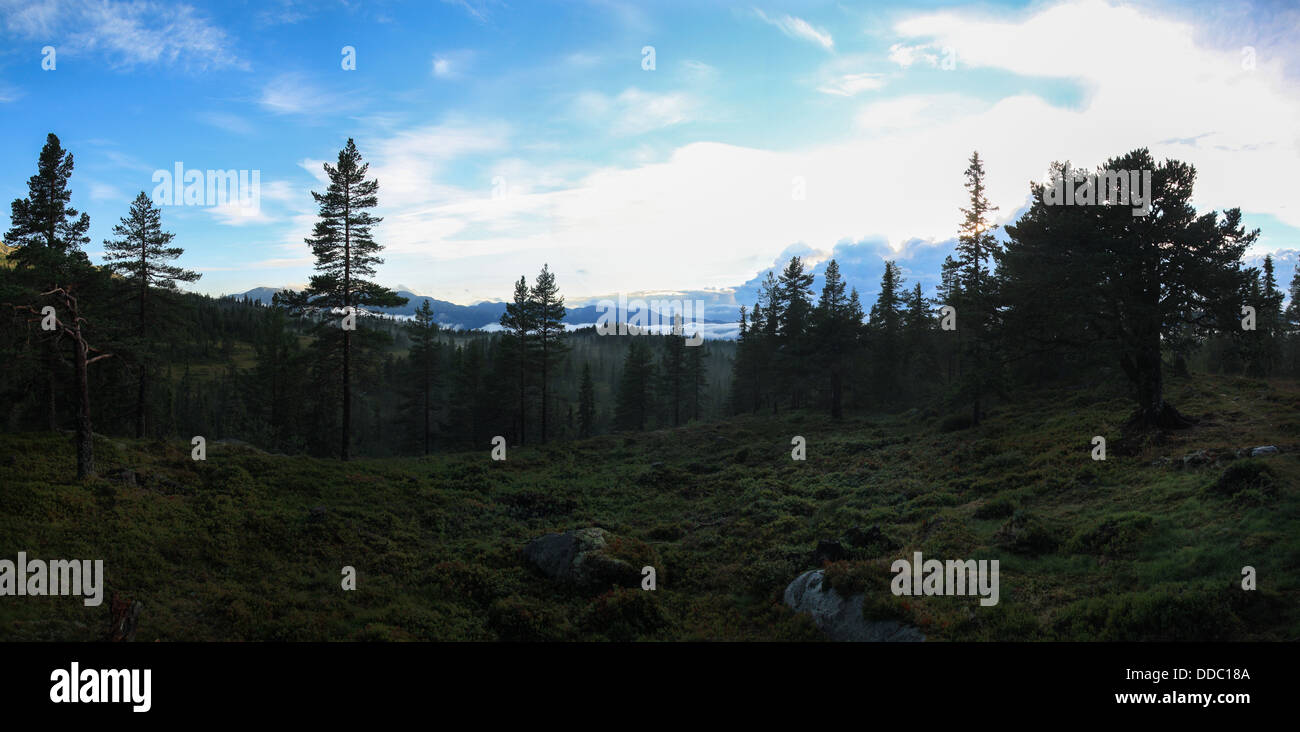 A nature around Telemark province and a Maelefjell mountain Stock Photo ...