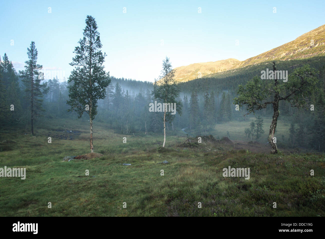 A nature around Telemark province and a Maelefjell mountain Stock Photo ...