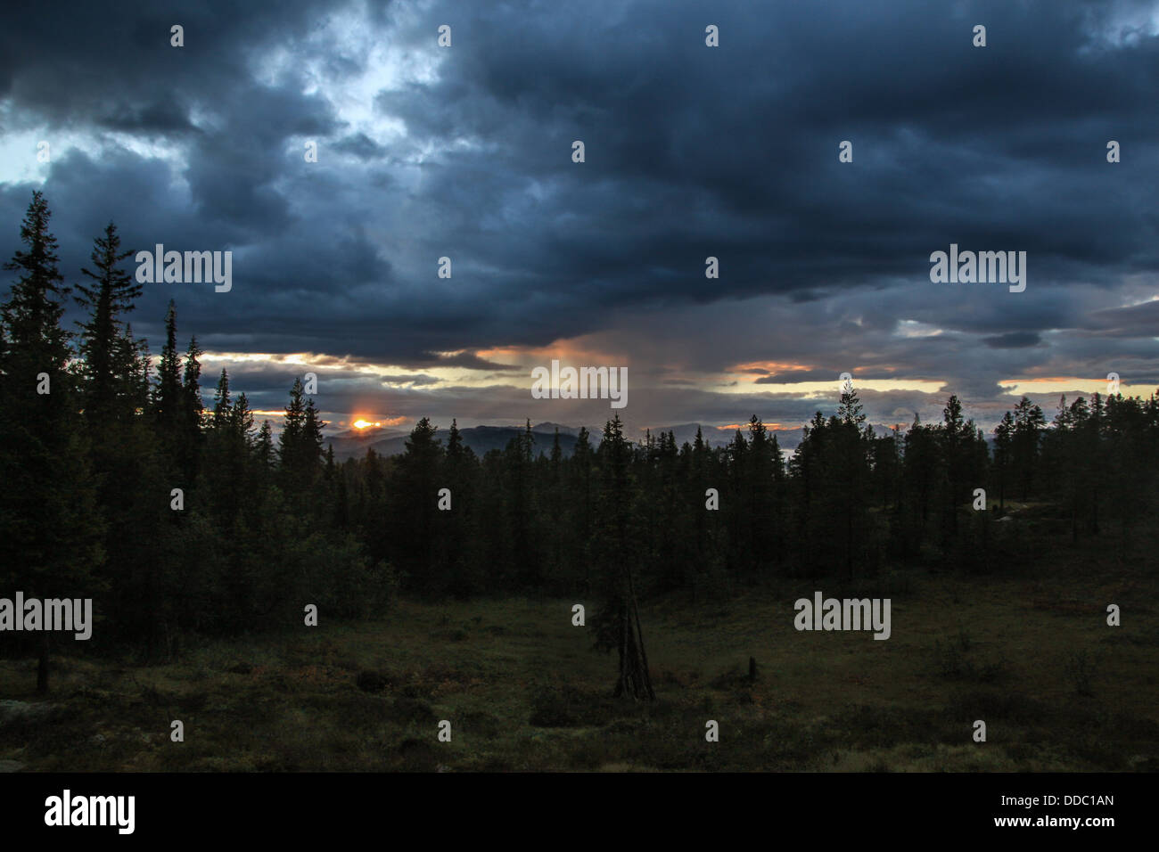 A nature around Telemark province and a Maelefjell mountain Stock Photo ...