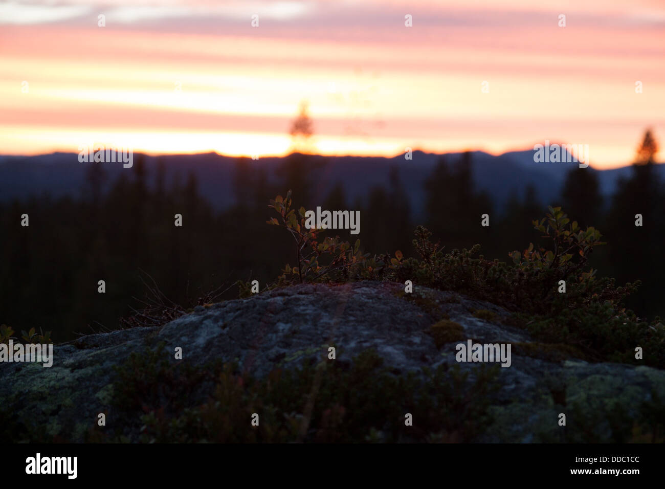 A nature around Telemark province and a Maelefjell mountain Stock Photo ...