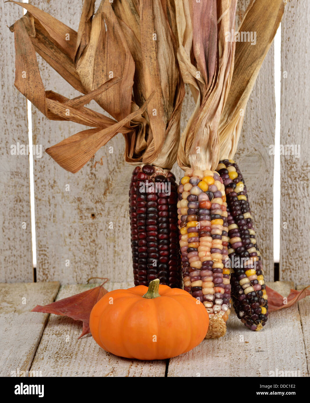 Indian dried corn hi-res stock photography and images - Alamy