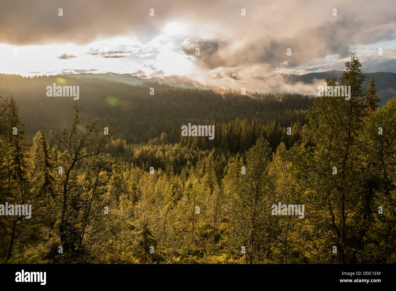 A nature around Telemark province and a Maelefjell mountain Stock Photo ...