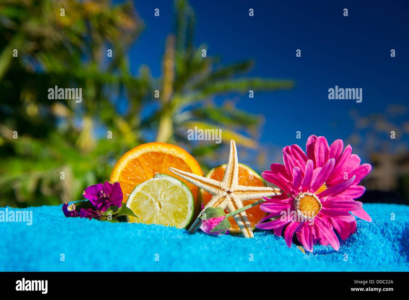 Tropical still life Stock Photo - Alamy