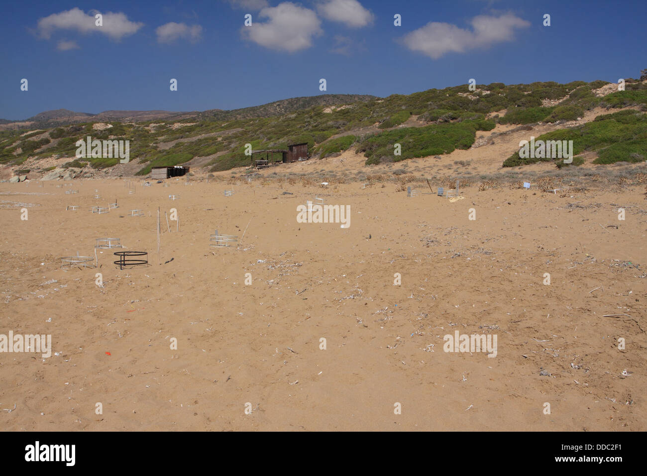 Turtle nest covers lara bay hi-res stock photography and images - Alamy
