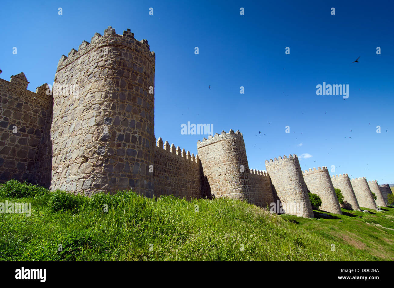 Martlet hi-res stock photography and images - Alamy