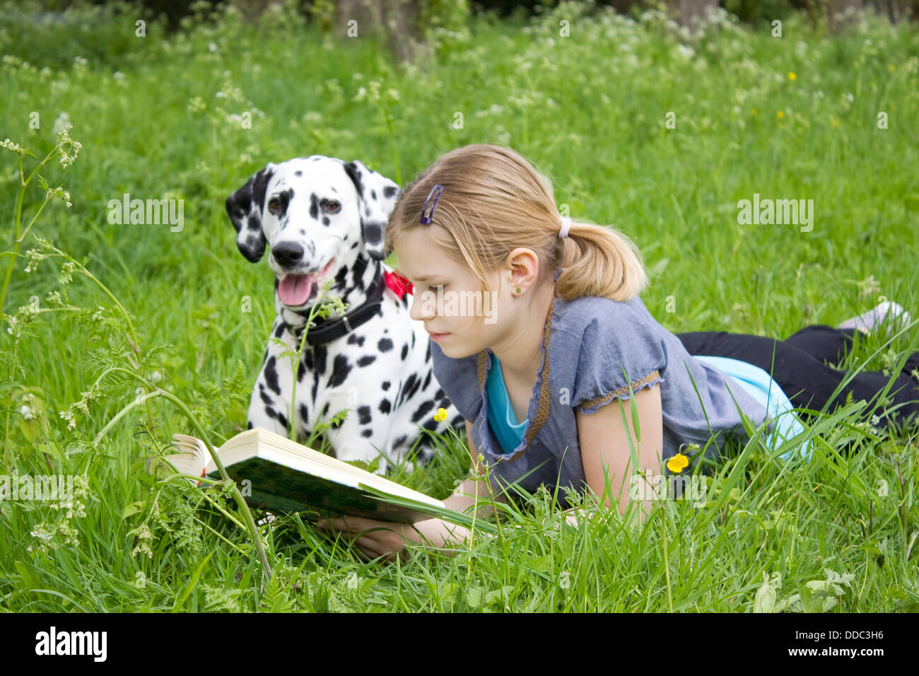 A little girl reading a book outdoor Stock Photo - Alamy