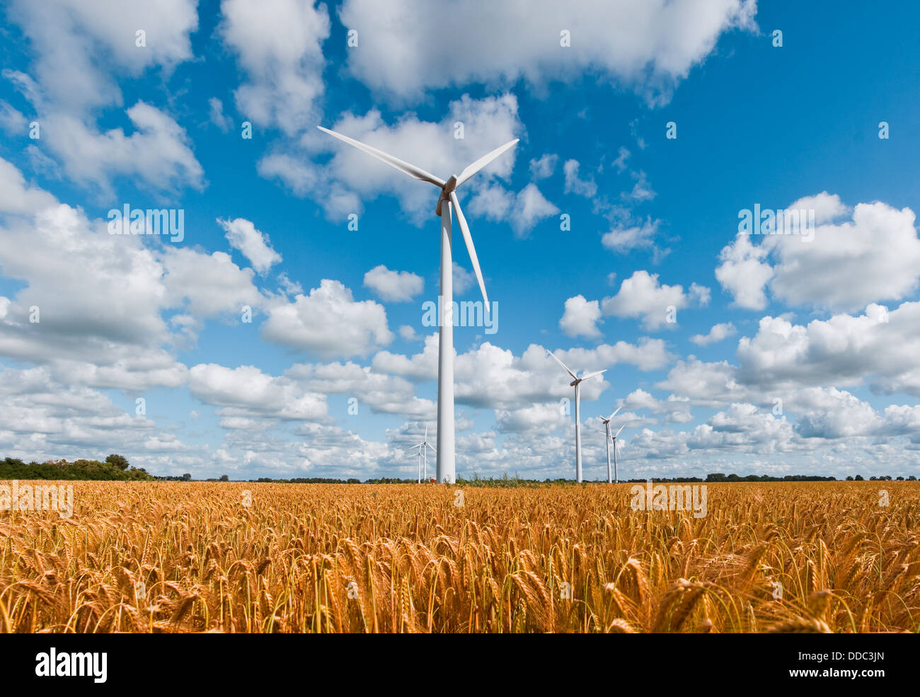 wind turbines in wheat field Stock Photo - Alamy