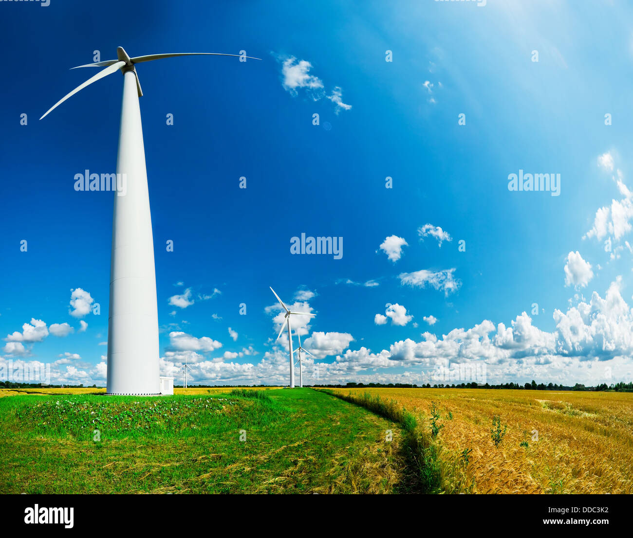 wind turbines on field Stock Photo - Alamy