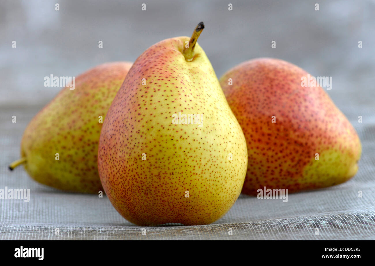 Forelle variety of pear fruit Stock Photo - Alamy