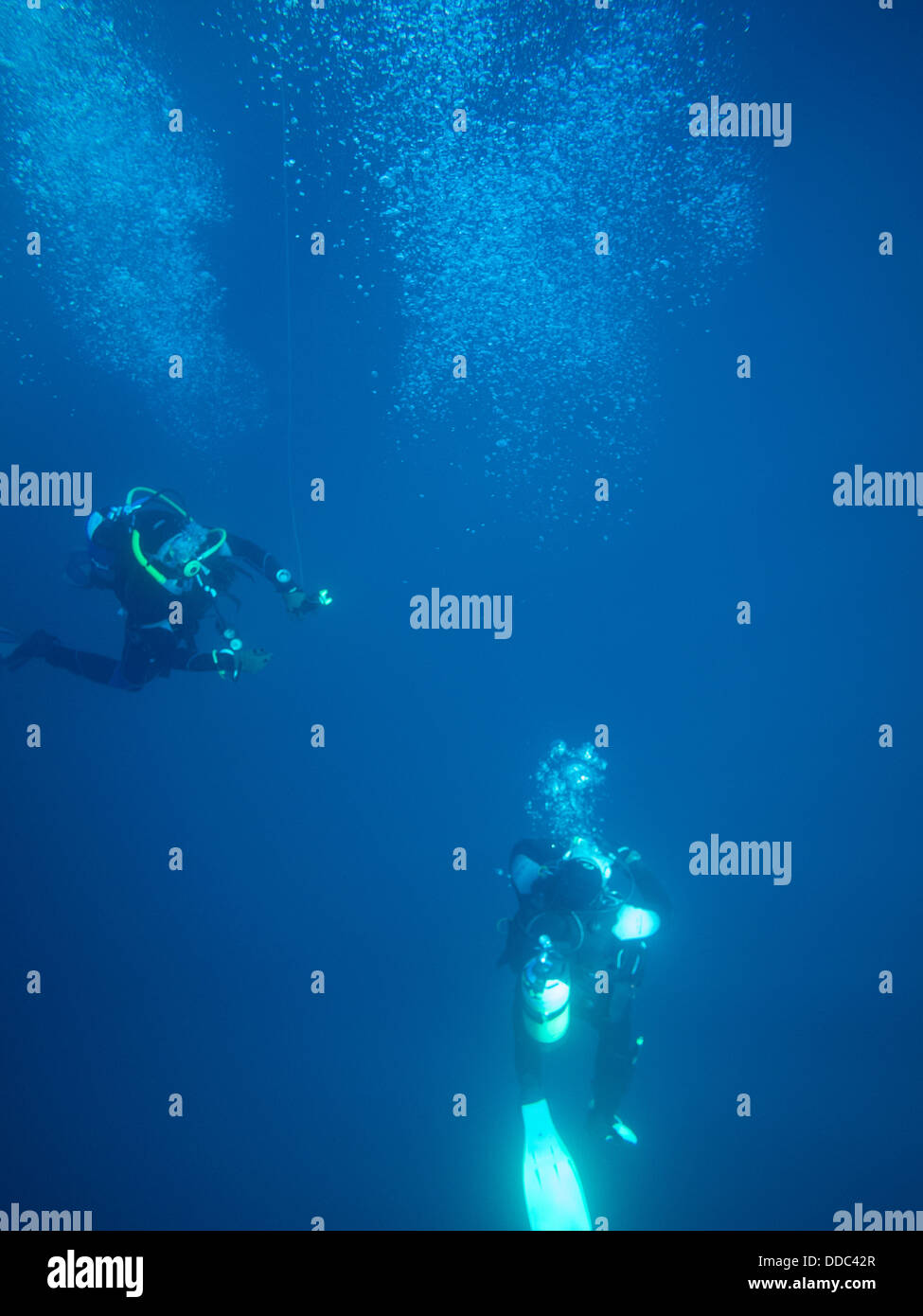 Scuba diving in Ireland Stock Photo - Alamy