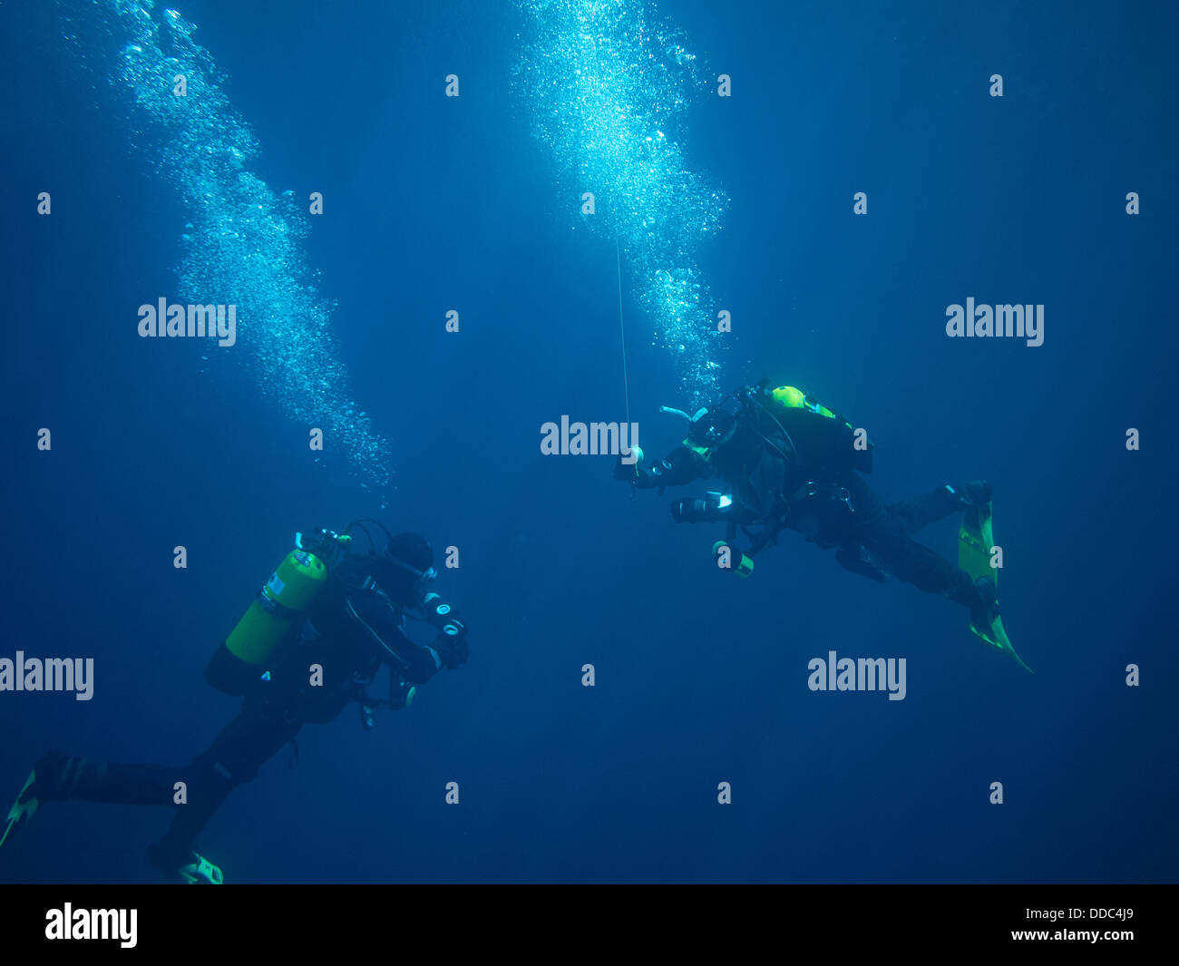 Scuba diving in Ireland Stock Photo - Alamy