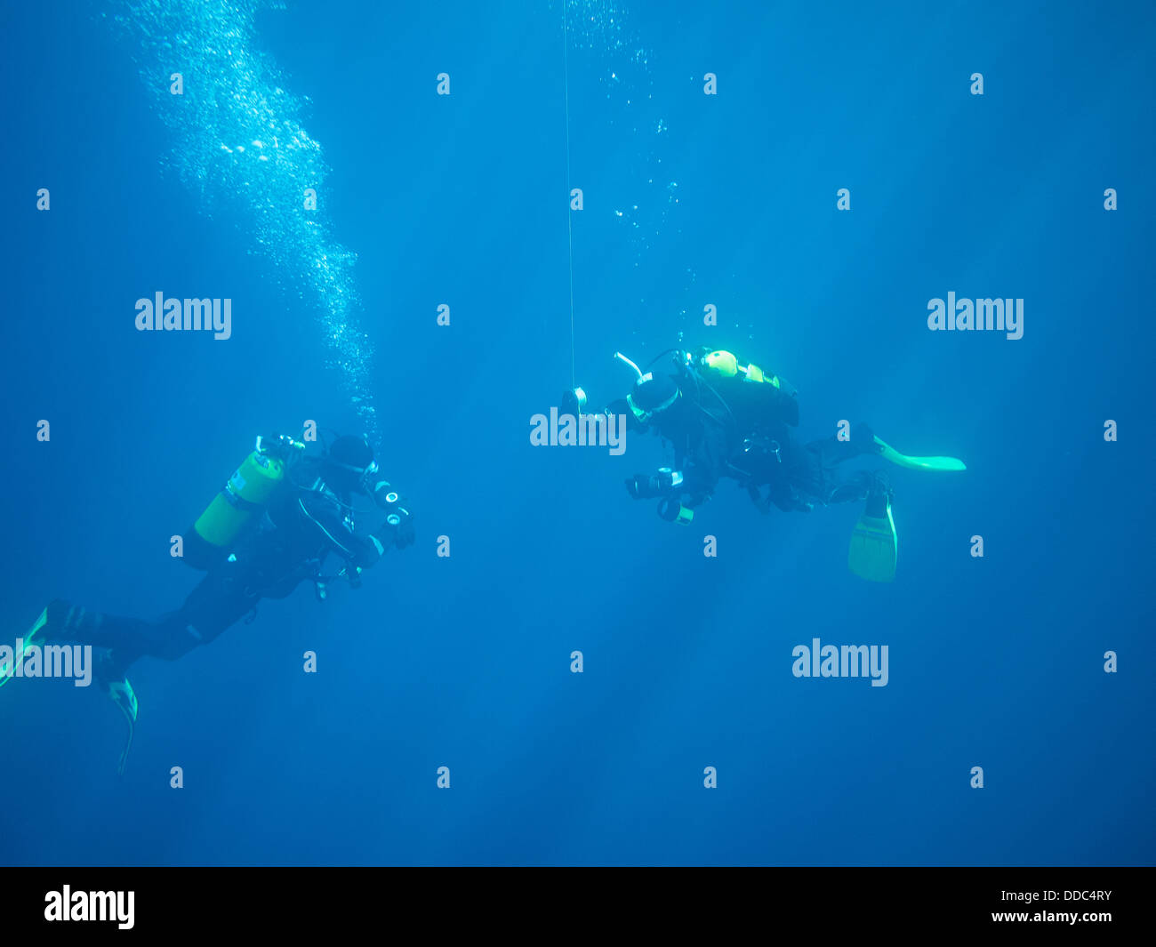 Scuba diving in Ireland Stock Photo - Alamy