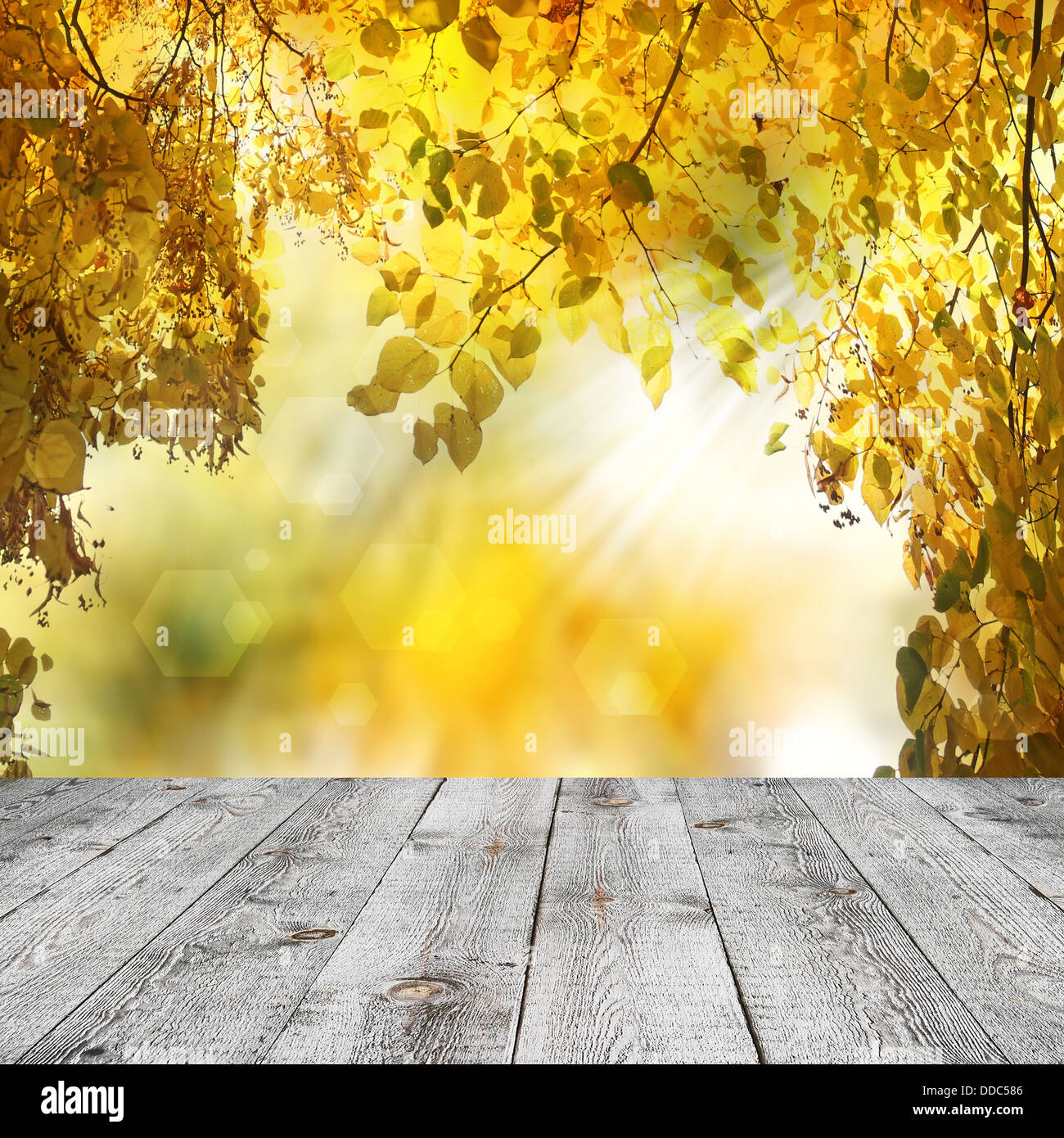 Empty table for display montages hi-res stock photography and images ...