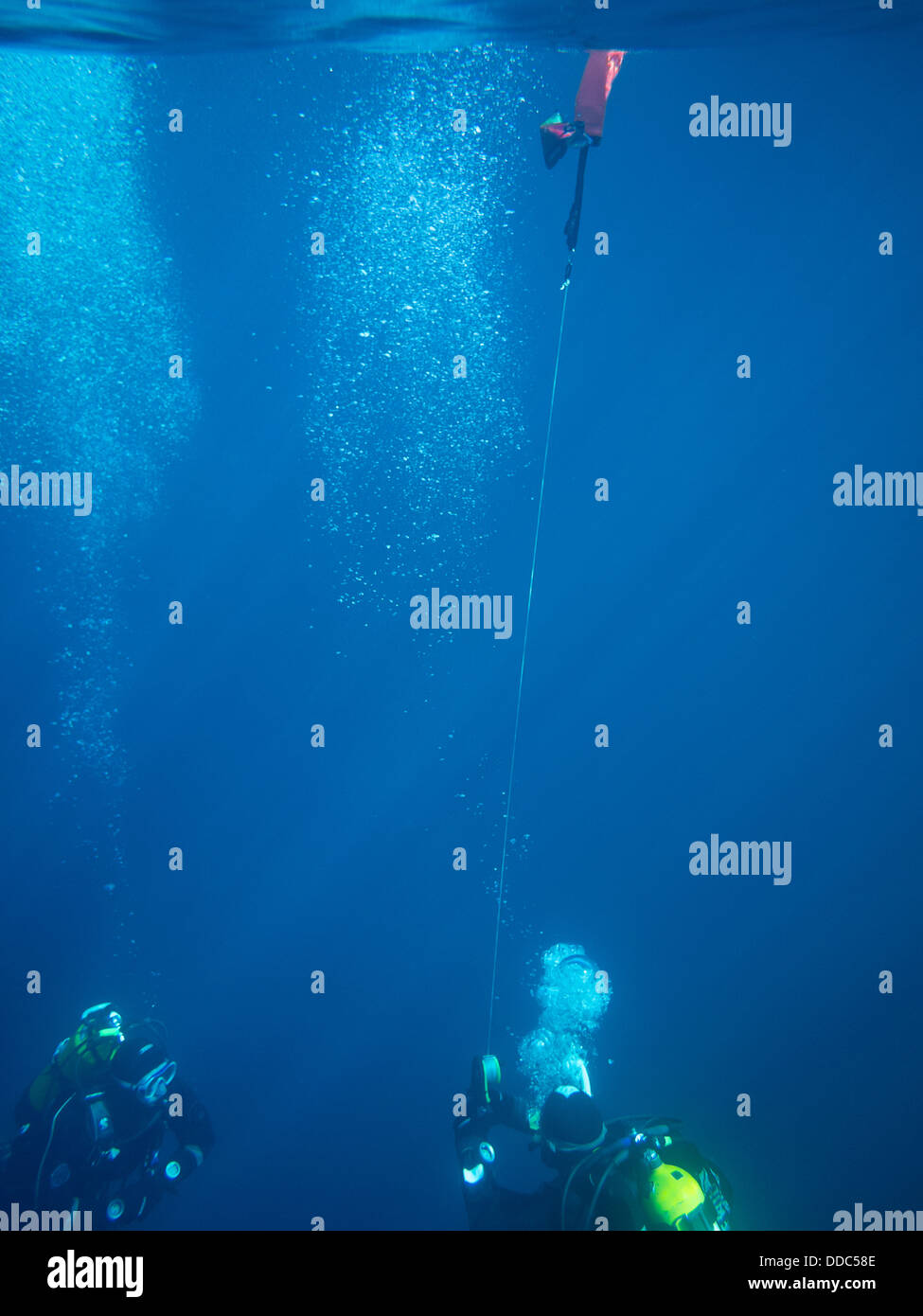 Scuba diving in Ireland Stock Photo - Alamy