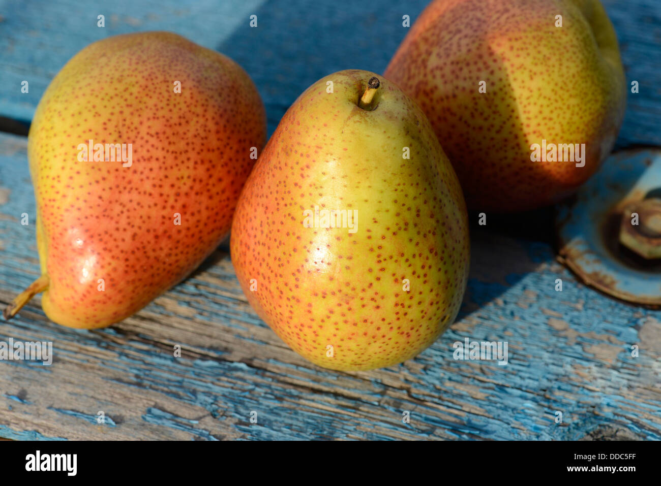 Forelle High Resolution Stock Photography and Images - Alamy