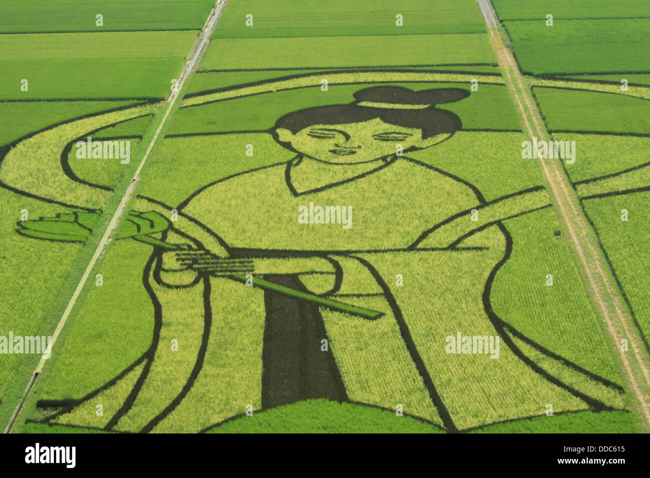 Tanbo Art; Giant pictures in rice fields using several different ...