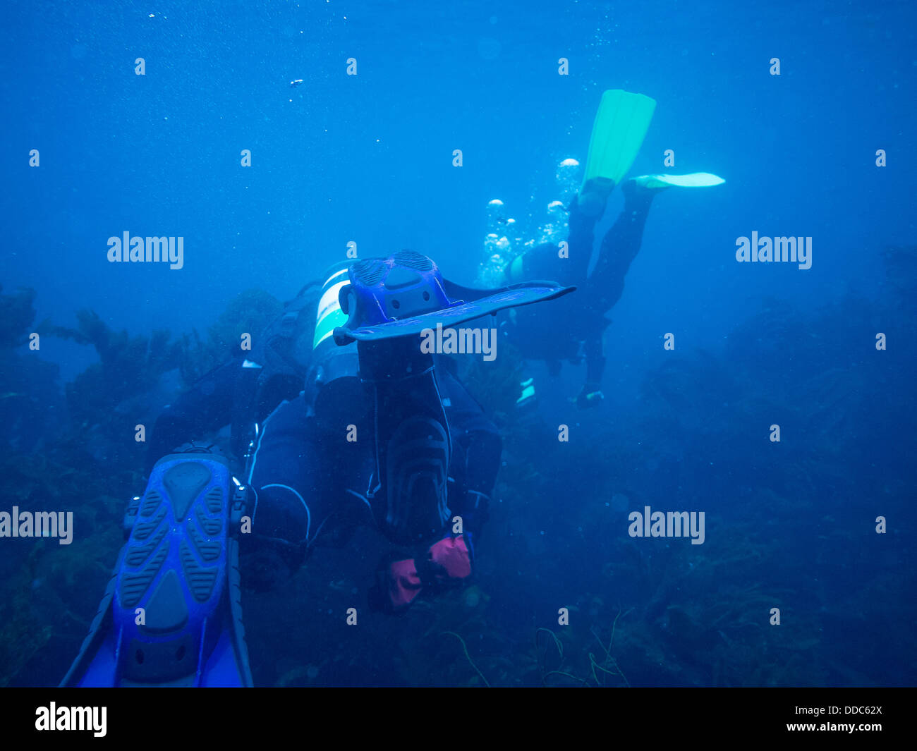 Scuba diving in Ireland Stock Photo - Alamy