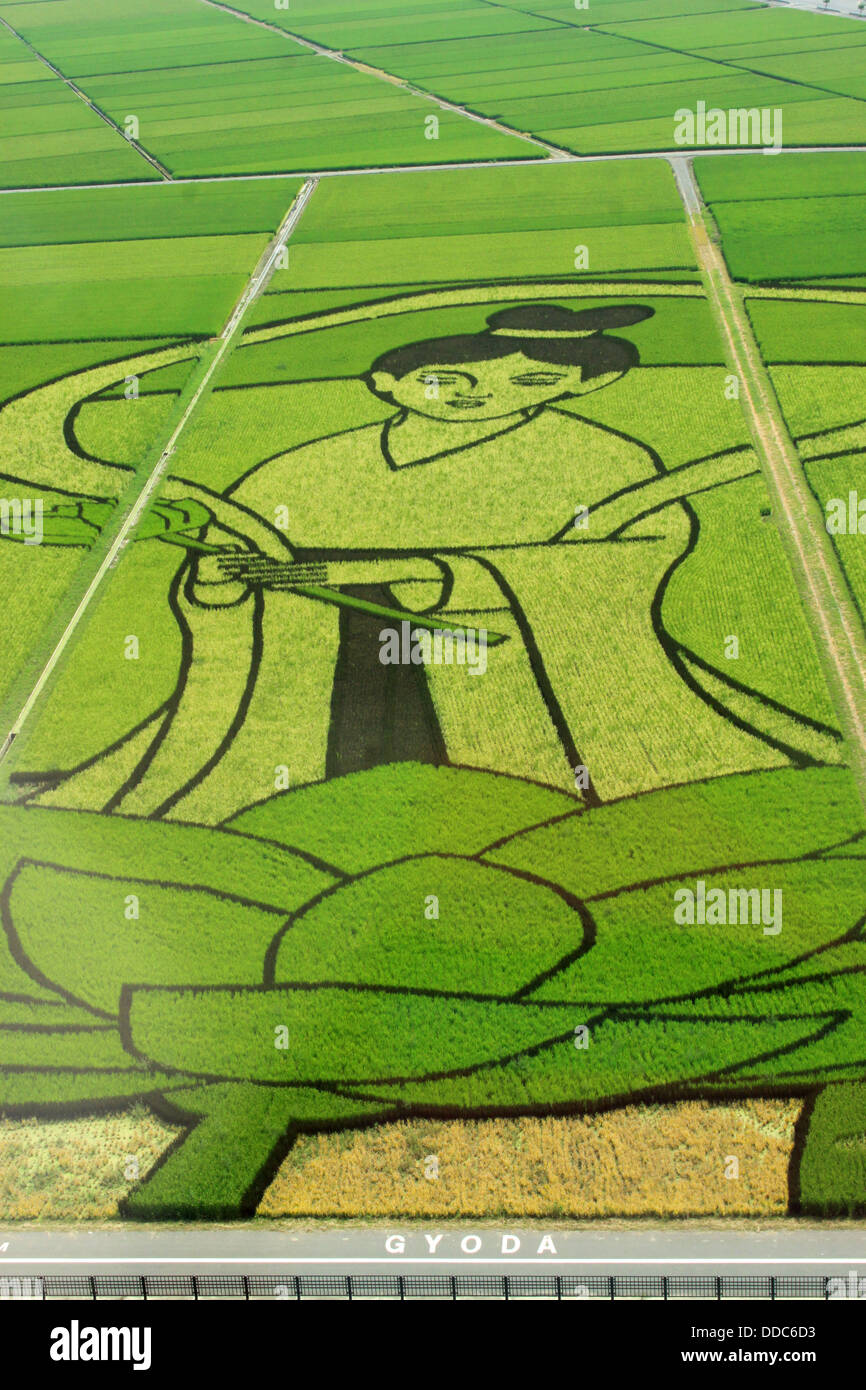 Tanbo Art; Giant pictures in rice fields using several different ...