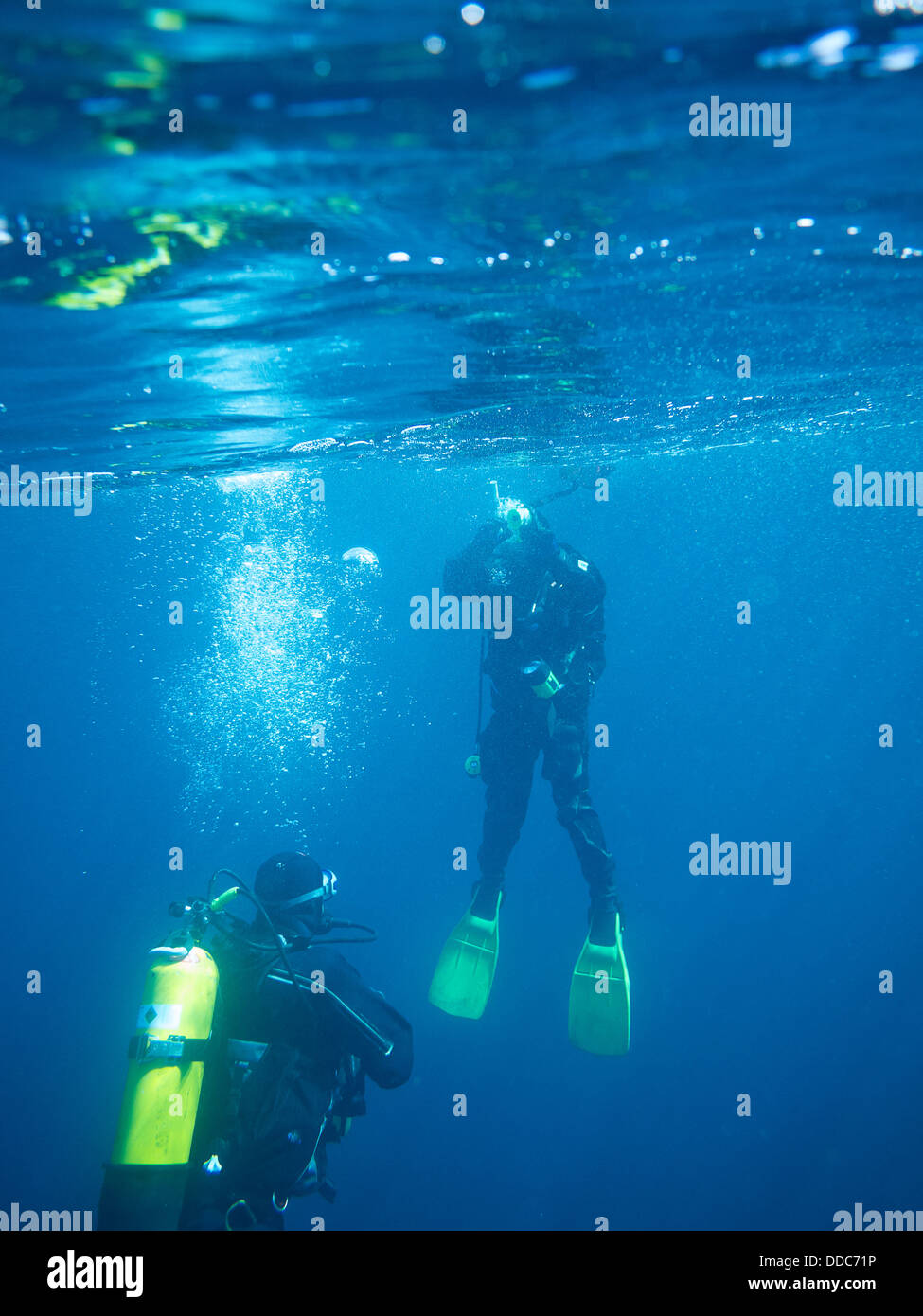 Scuba diving in Ireland Stock Photo - Alamy