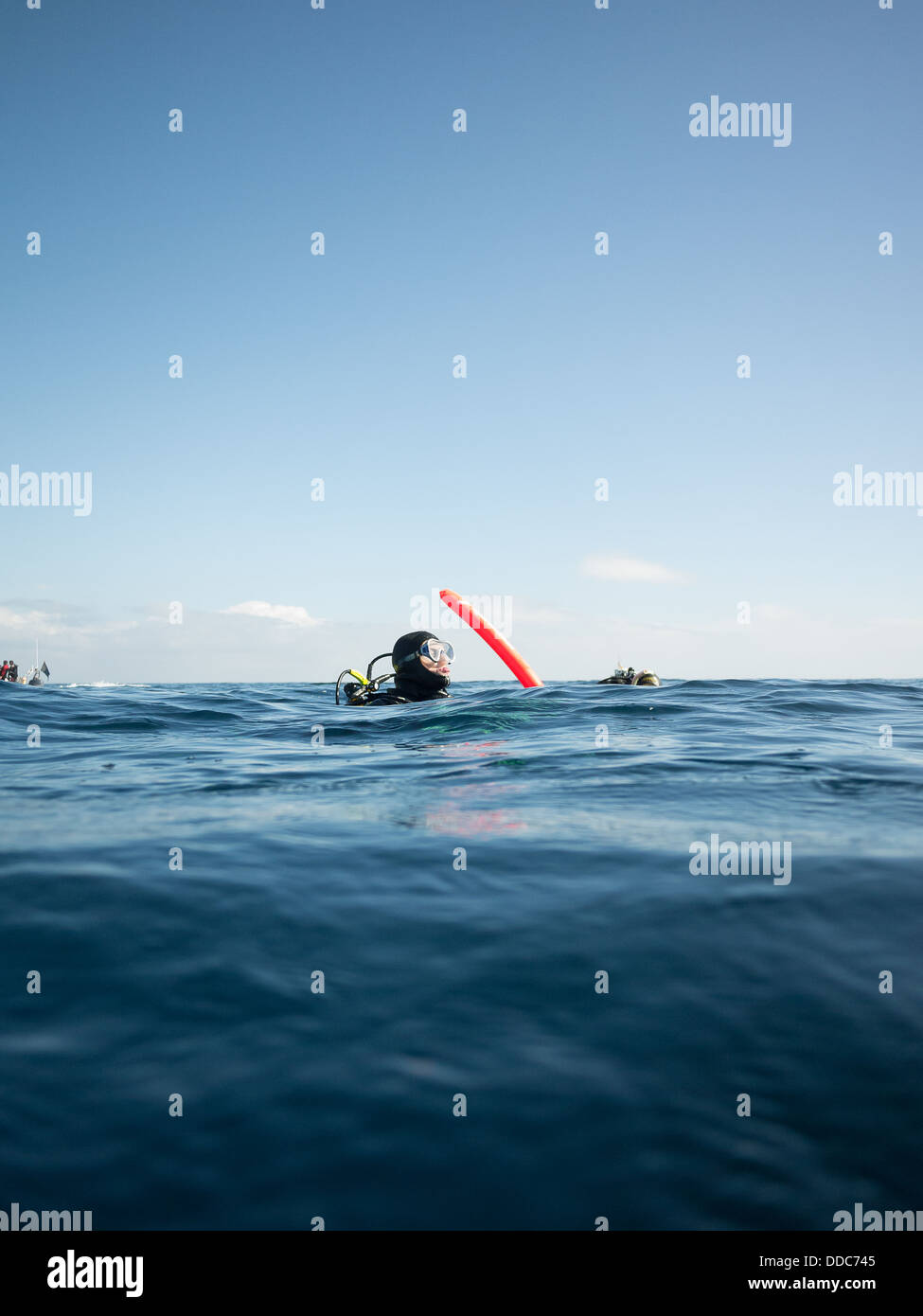 Scuba diving in Ireland Stock Photo - Alamy